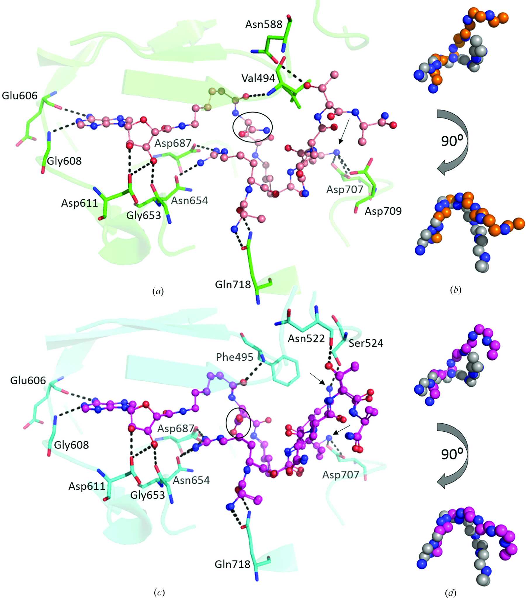 (IUCr) Co-crystal structures of the protein kinase haspin with bis ...