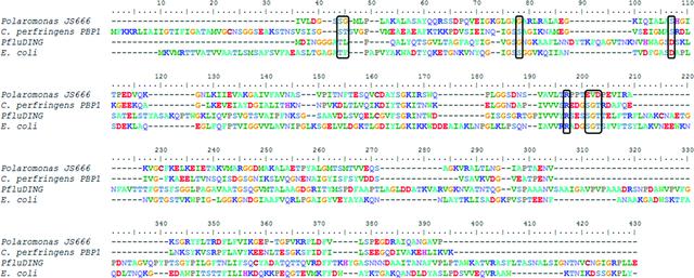 (IUCr) Phosphate-binding protein from Polaromonas JS666: purification ...