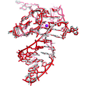 (IUCr) Co-crystal structure of the i Mango-III fluorescent RNA aptamer ...