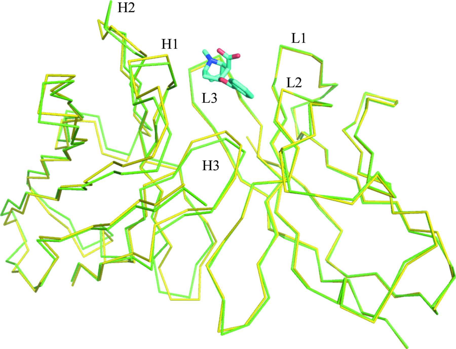 (IUCr) Structural analysis of free and liganded forms of the Fab ...