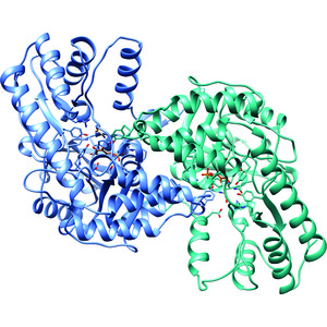 (IUCr) Structural insights into the catalytic mechanism of Bacillus ...