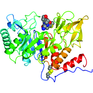 (IUCr) Crystal structures of the GH18 domain of the bifunctional ...