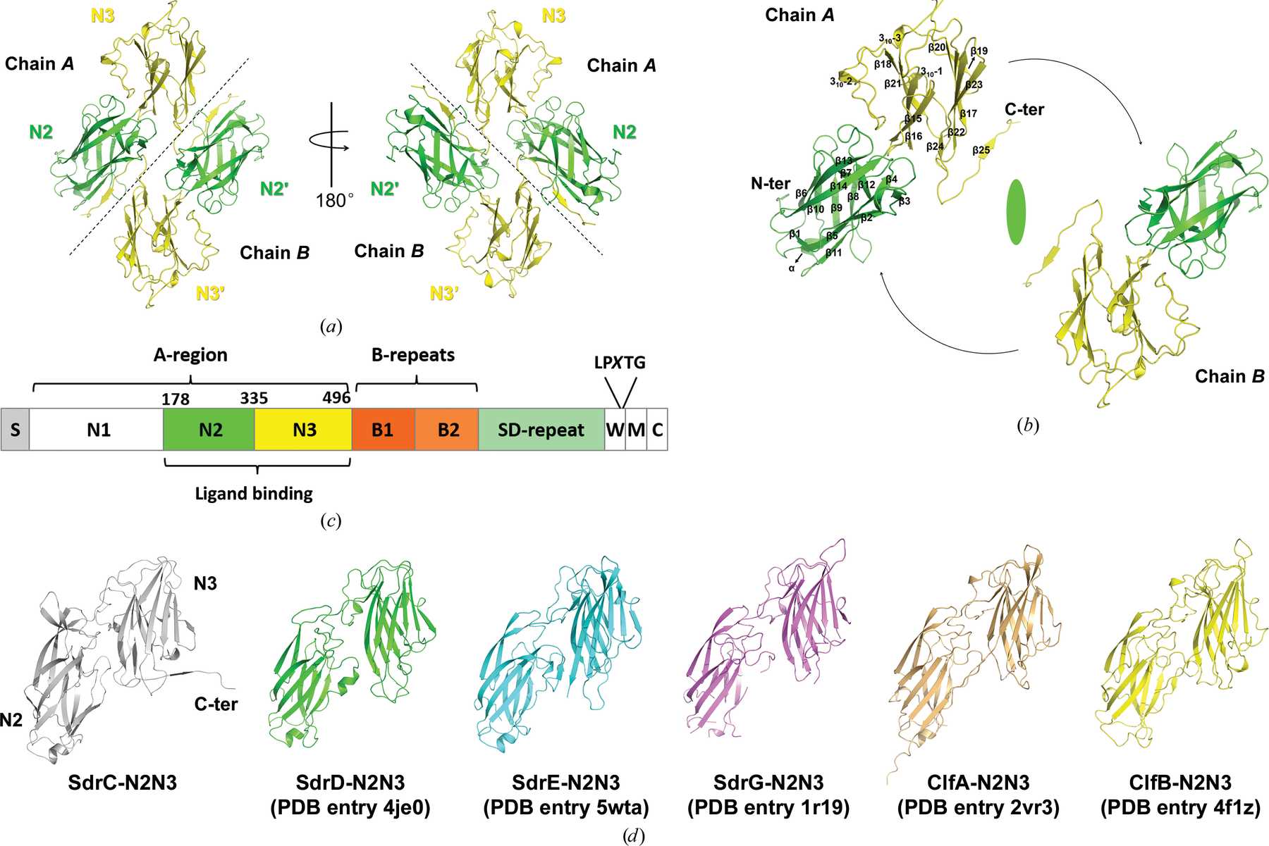 (IUCr) Structural insights into the intermolecular interaction of the ...