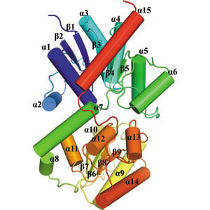 (IUCr) Crystal structure of the capsular polysaccharide-synthesis ...