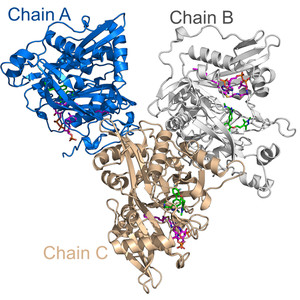 (IUCr) Structure of Plasmodium vivax N-myristoyltransferase with ...