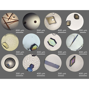(IUCr) Preparing for successful protein crystallization experiments