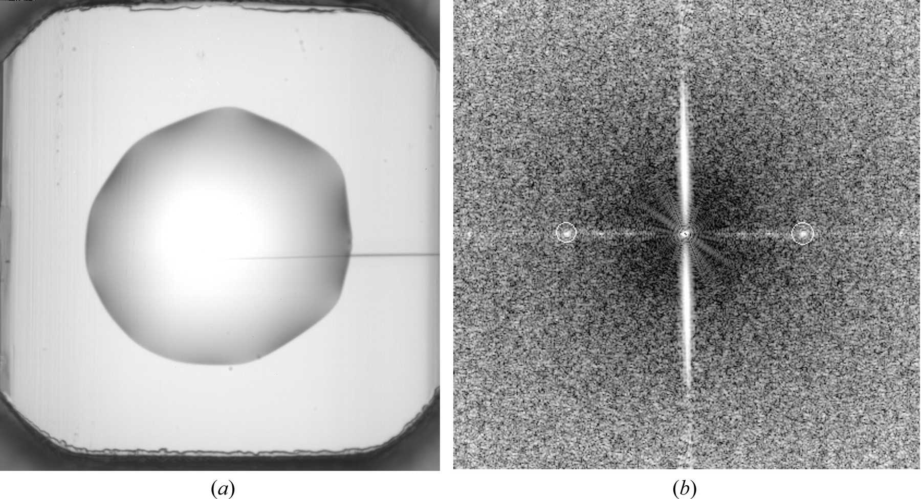 Iucr Classification Of Protein Crystallization Images Using Fourier Descriptors