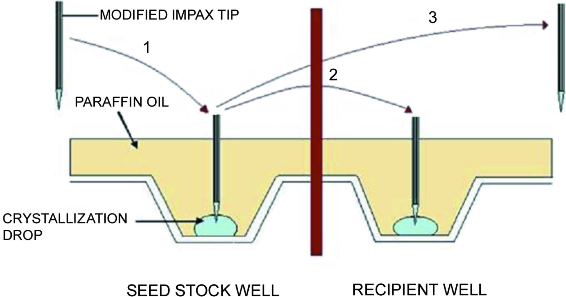 (IUCr) Automated seeding for the optimization of crystal quality