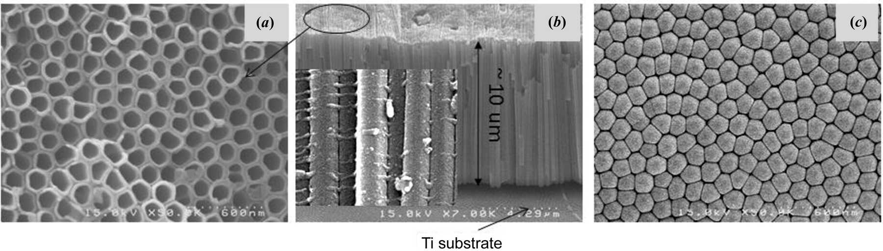 (IUCr) The pore wall structure of porous semi-crystalline anatase TiO 2