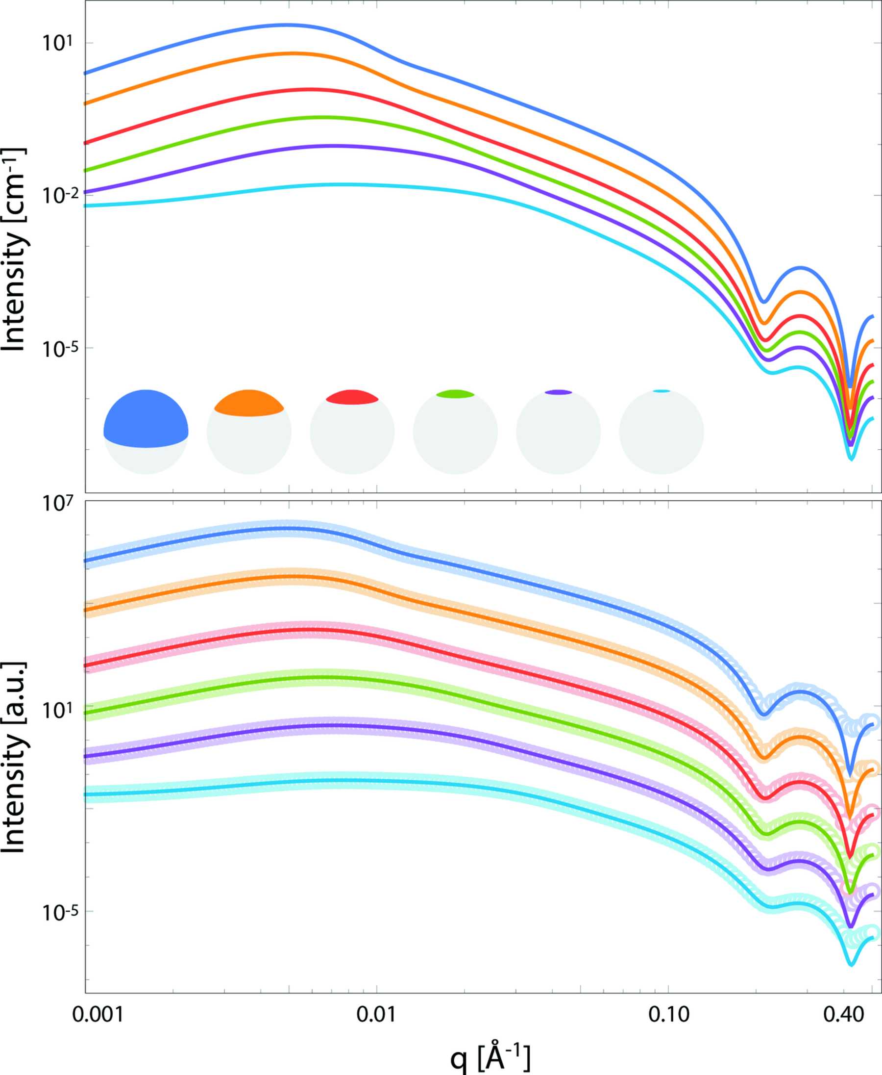 (IUCr) Scattering from phase-separated vesicles. I. An analytical form ...