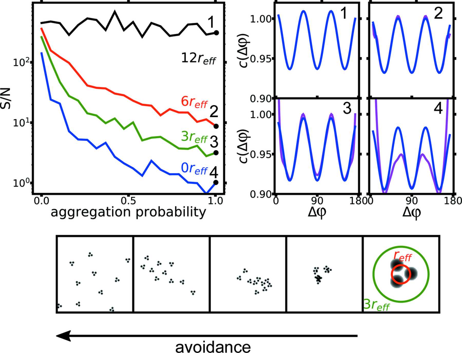 (IUCr) Robust X-ray angular correlations for the study of meso-structures