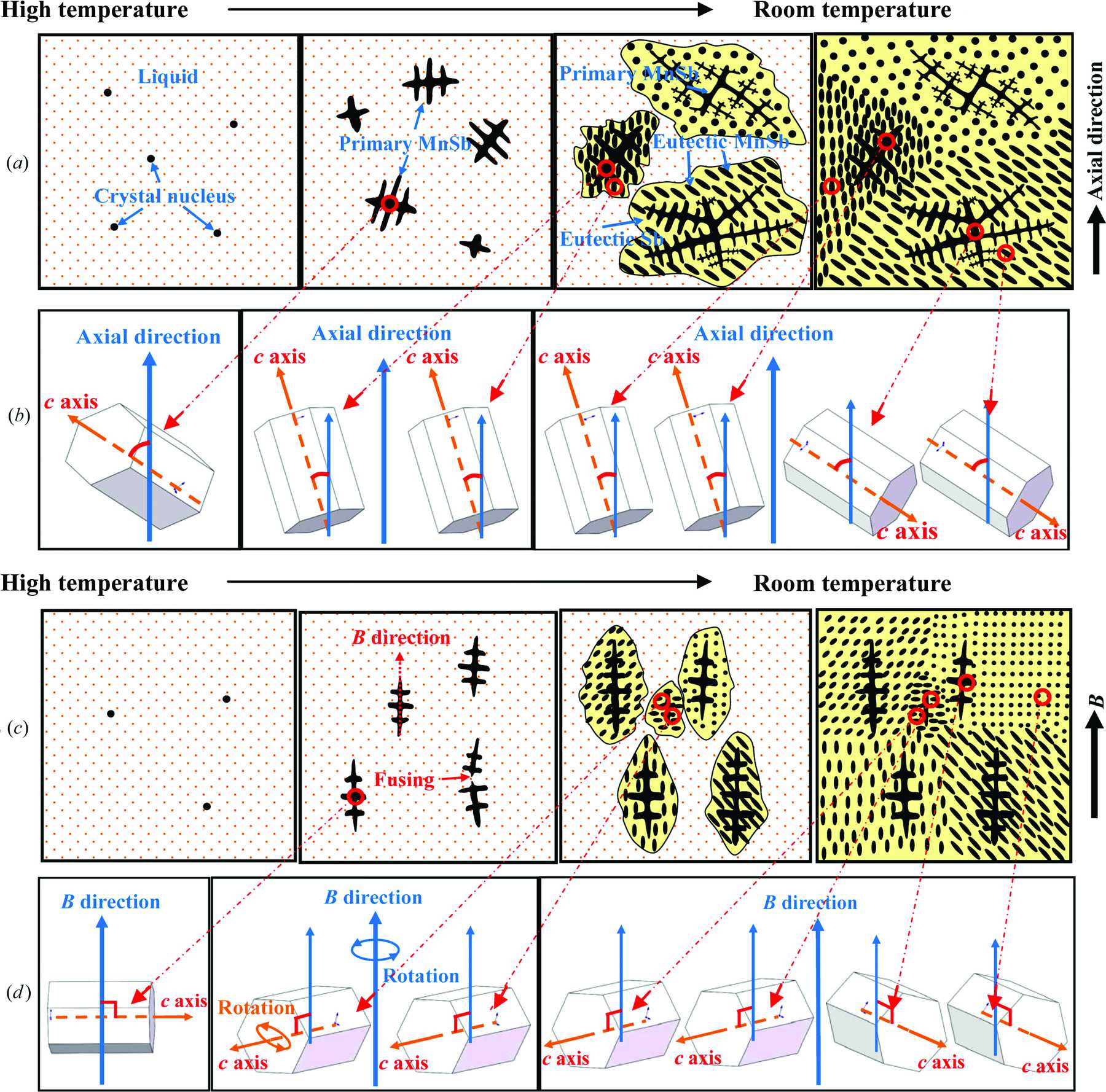 (IUCr) Crystallographic orientation of primary and eutectic phases in a ...