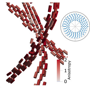(IUCr) X-ray tensor tomography for small-grained polycrystals with ...