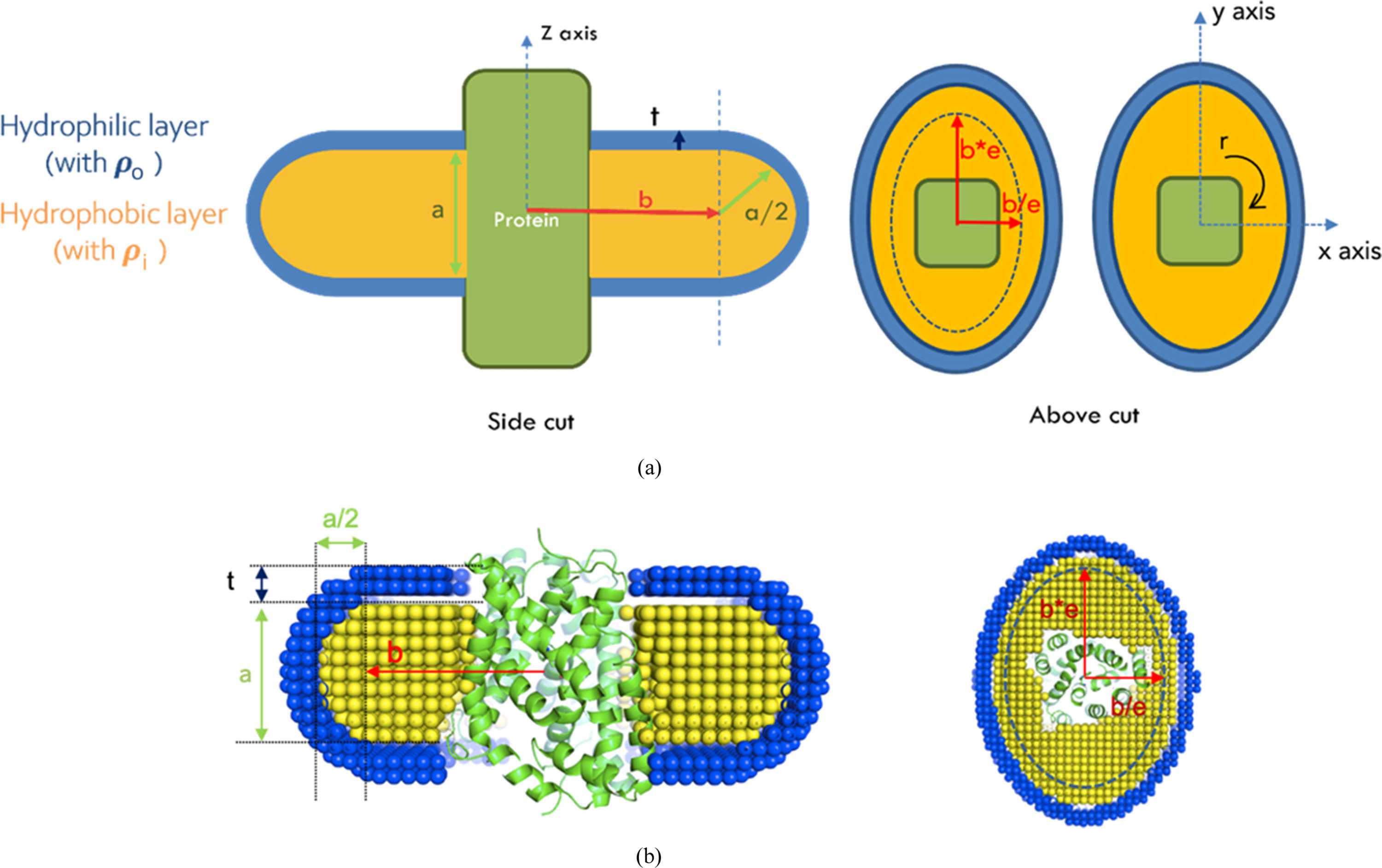 (IUCr) Simulation and modelling of the detergent corona around the ...