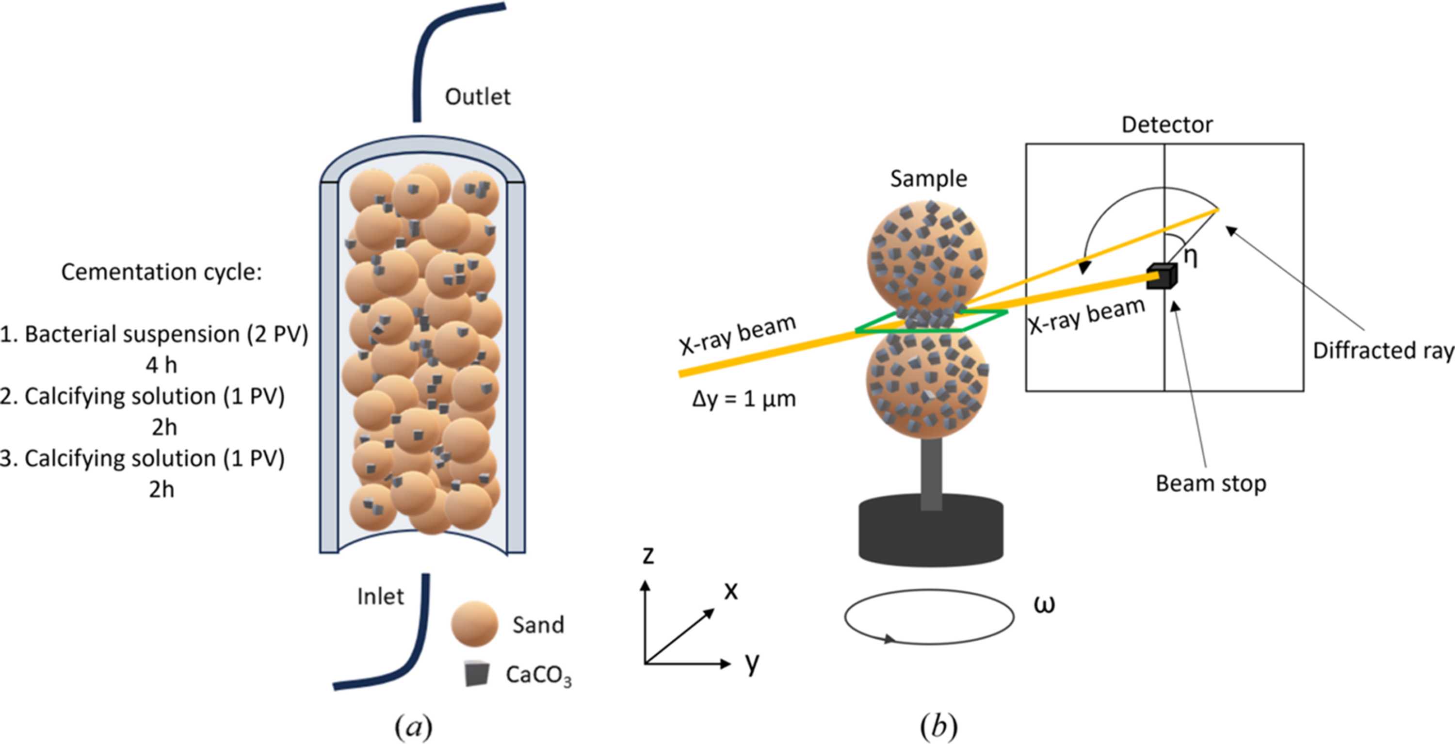 (IUCr) Insights on the textural and crystallographic properties of ...