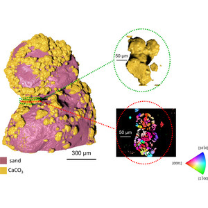 (IUCr) Insights on the textural and crystallographic properties of ...