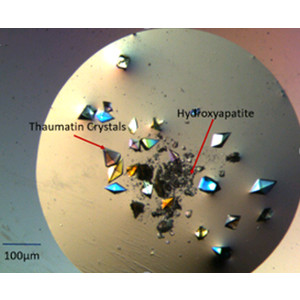 (IUCr) Theoretical and experimental investigation of protein crystal ...