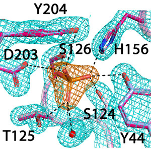(IUCr) Protein-to-structure pipeline for ambient-temperature in situ ...