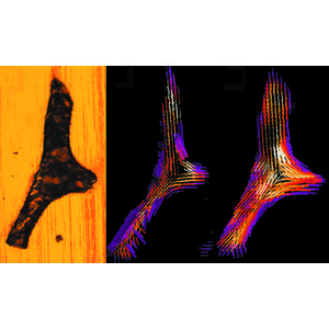 (IUCr) Validation study of small-angle X-ray scattering tensor tomography