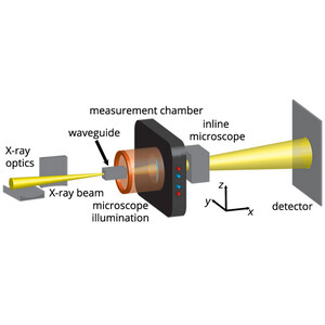 (IUCr) X-ray phase-contrast tomography of cells manipulated with an ...